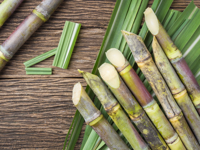 Sugarcane (Tubo) & Nutrients | theAsianparent