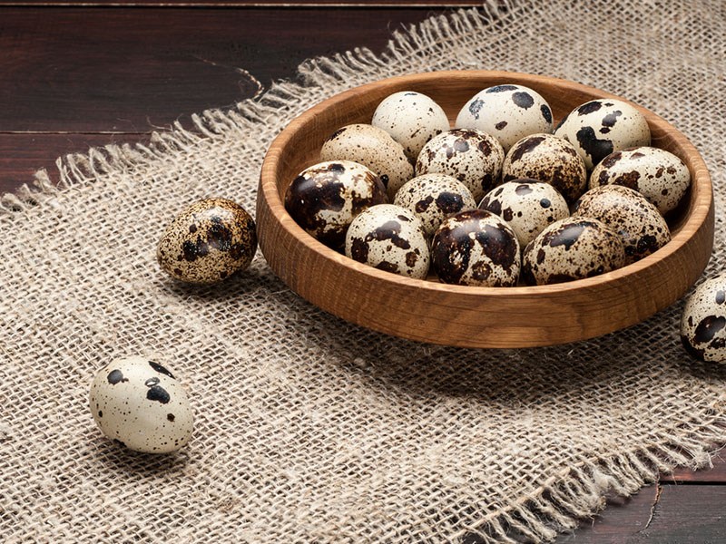 Itlog ng pugo & Nutrients | theAsianparent