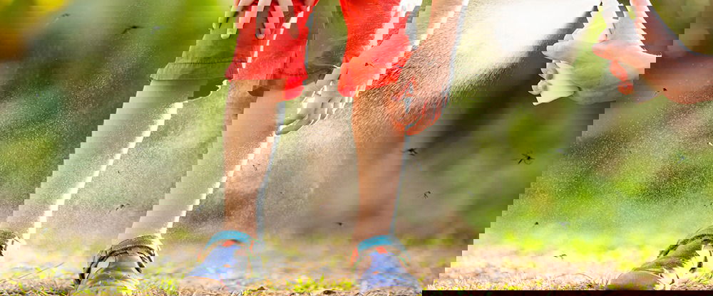 Are Mosquito Repellents with DEET Safe for Kids?