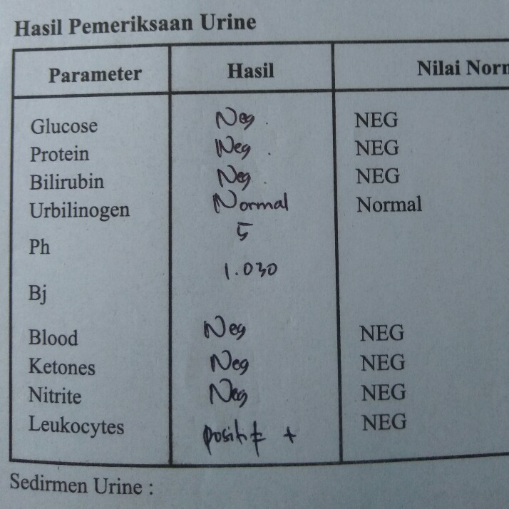 Ada Yg Bisa Baca Hasil Lab? Bun, hasil lab urine ku kenapa y