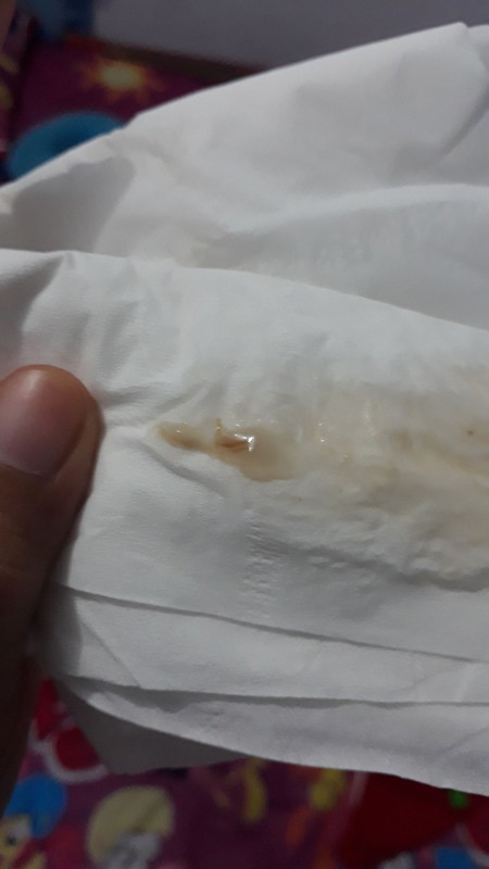 lendir coklat Bun maaf agak jorok , mau tanya kalo keluar le