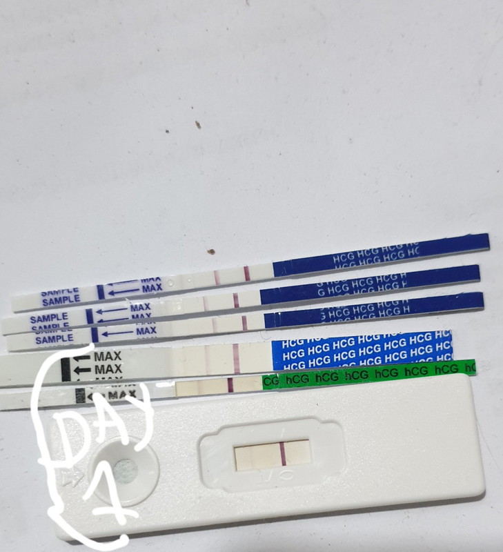 pregnancy test samar dua jalur assalamualaikum. wife sy bru