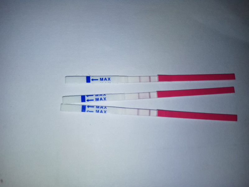 opk test positiv atau negatif?? opk test nie positif atau ne
