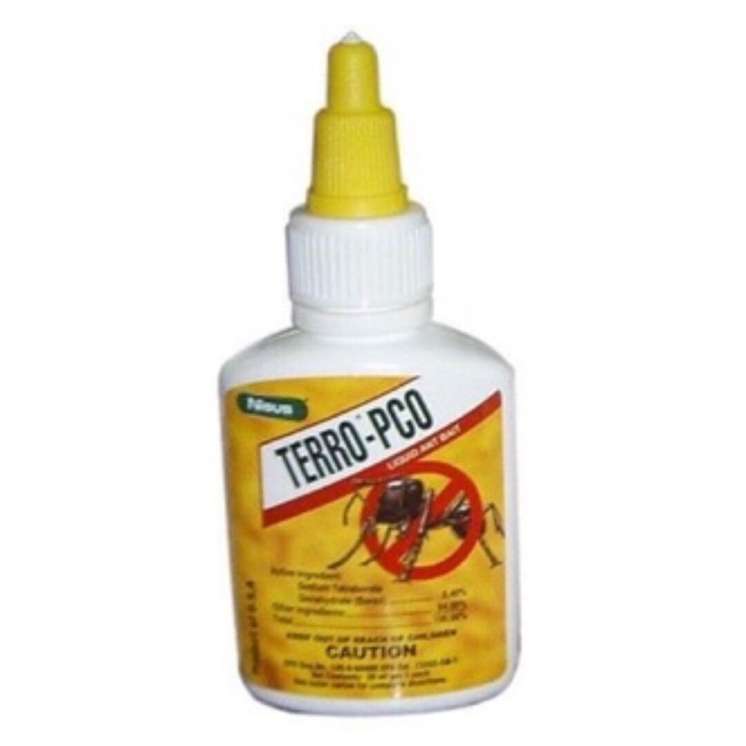 TERRO-PCO เหยื่อกำจัดมด เจลมด | theAsianparent theAsianparent Thailand
