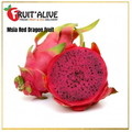Fruit Alive Red Dragon Fruits | theAsianparent theAsianparent Singapore