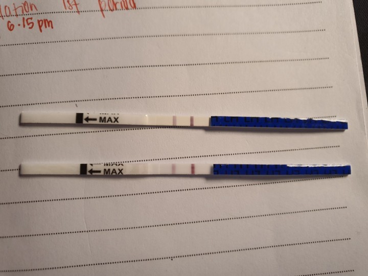 Opt negative atau positive Saya test opk, kalau untuk sekara