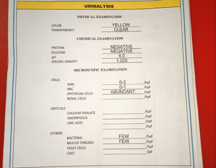 URINALYSIS Hello mga mommy. Sino po marunong magbasa ng urin