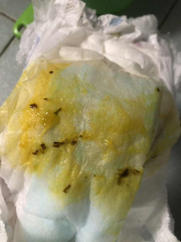 Berak ada mcm sayur Anak sy dah 6 bulan, jadi dah start bagi