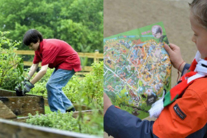 10 Life Skills You Should Teach Your Kids by Age 10