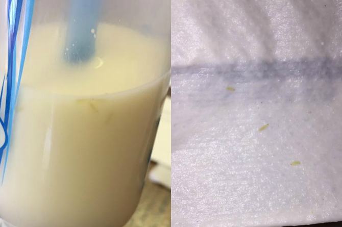 Horrified Mother Finds Maggots In Her Baby's Formula