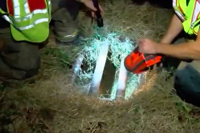 8-Month-Old Baby Found Alive In Storm Drain After Being Ejected From ...