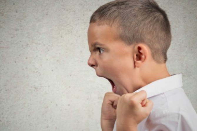 Second Child Characteristics: Getting Into Trouble And Crime