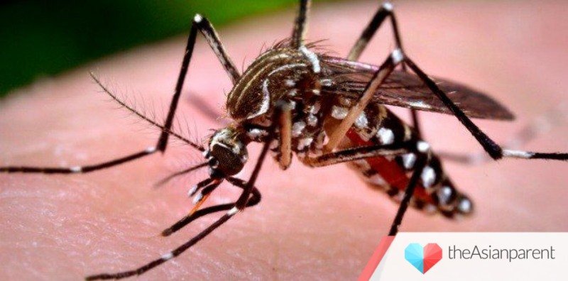 Kagat ng lamok, naging sanhi ng encephalitis sa 6 na taong gulang na bata