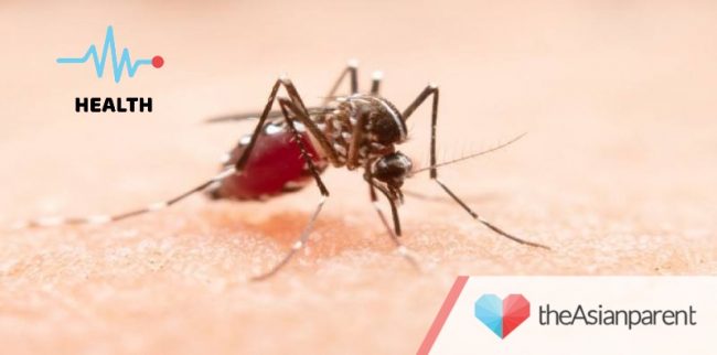 Paano Maiiwasan Ang Dengue? 4 Na Dapat Gawin Sa Bahay