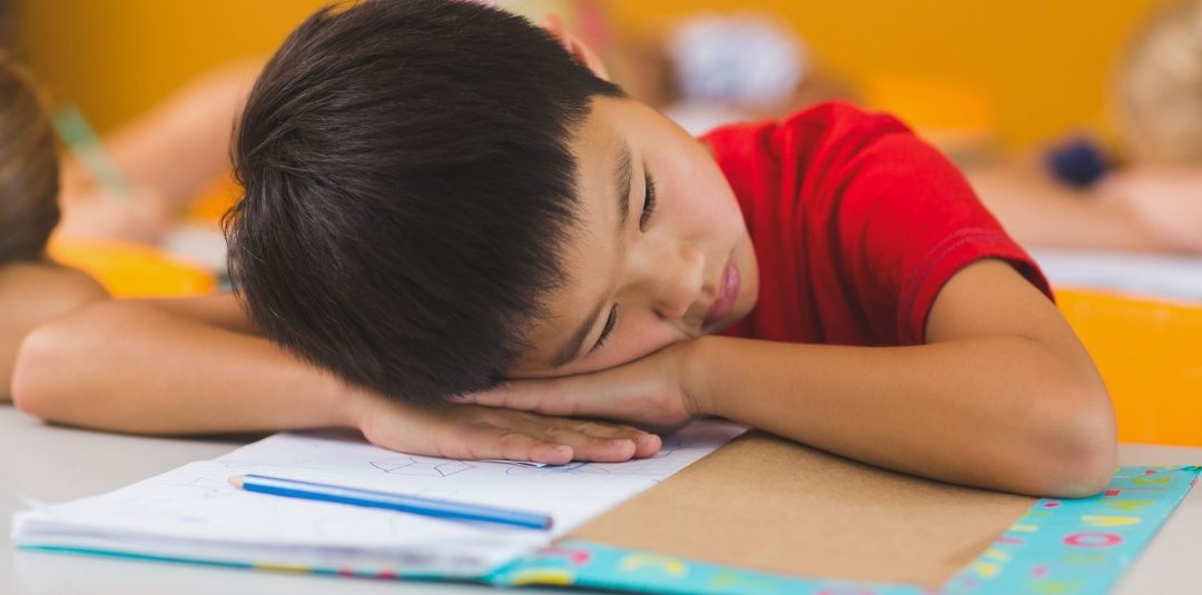 How To Identify Slow Learners At Paano Iiwasan Ito