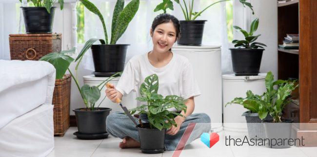 Gardening 101: 8 Tips Para Hindi Mamatayan Ng Halaman