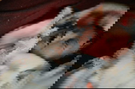 Old Filipino Names With Meanings Para Sa Iyong Baby