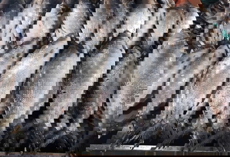 Paksiw Na Bangus Recipe, Pinasarap At Pina-level Up