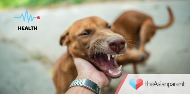 May Rabies Ba Ang Tuta? Sintomas At Ang Mga Dapat Mong Gawin