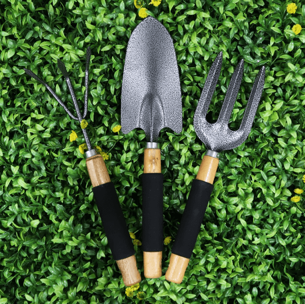 MR.DIY Gardening Essentials for Every Plantito and Plantita