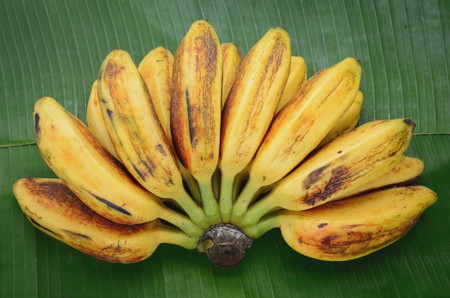 Saging Na Saba: 6 Na Benepisyo Ng Saging Na Saba Sa Kalusugan