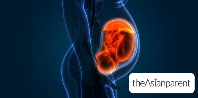 Placental Development: Here's All You Need To Know About This Organ