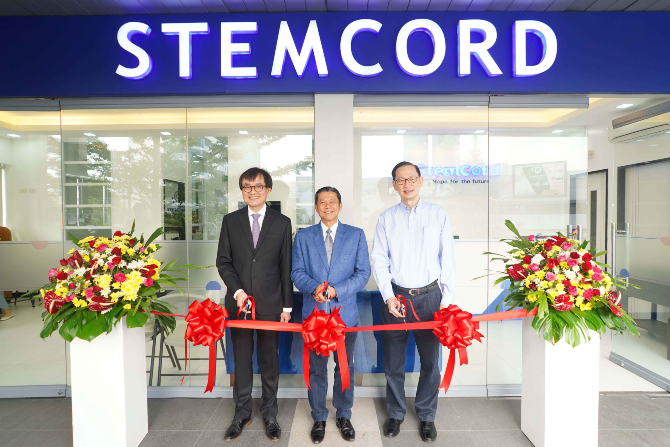 Innovations And Latest Developments In Stem Cells Therapy