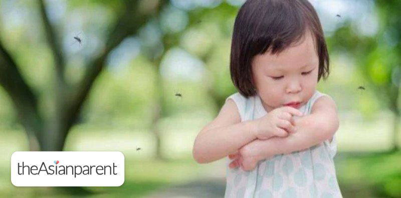 Gamot Sa Dengue: Ano Ang Lunas Sa Sakit Na Ito Ayon Sa Expert