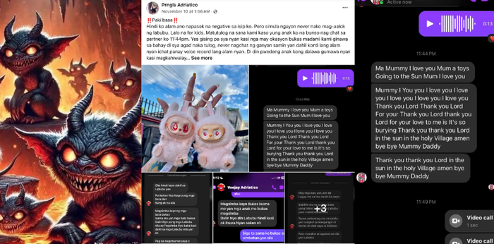 The Labubu Dolls: Adorable Collectibles or the “Devil’s Pet”?