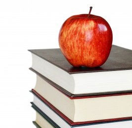 Primary School Ranking 2017 – Singapore's top 21 ranked - MOE