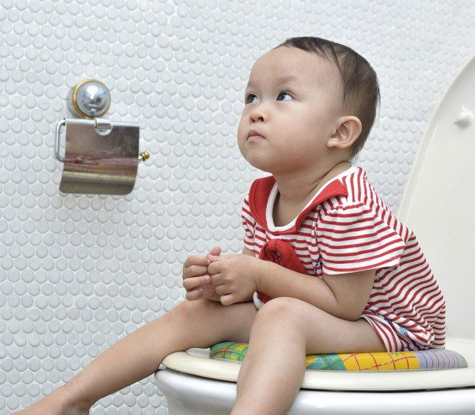 Tips on teaching your child to use the loo - it's time for the loo!