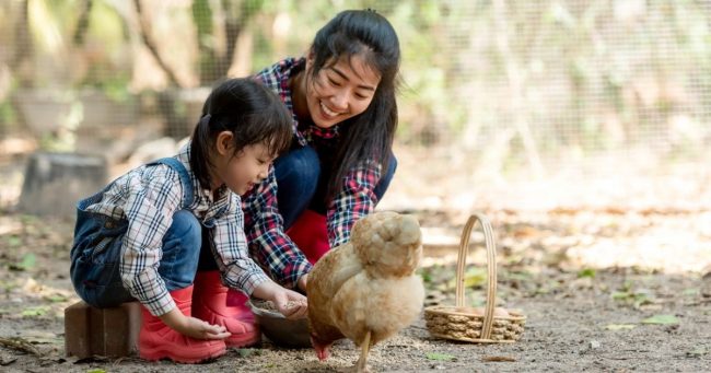 Perth Farm Stay: Kid-Friendly Farm Stays In Australia