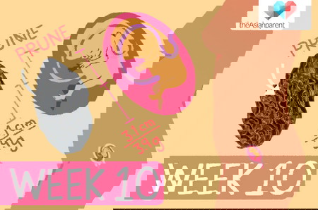 8 things you need to know if you are 10 weeks pregnant