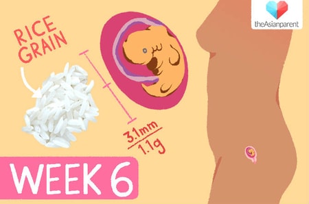 Pregnancy Guide: What You Need to Know At 6 Weeks Pregnant
