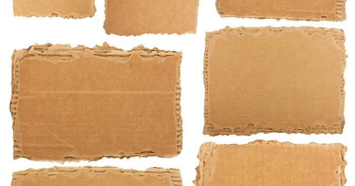 Kiddie Activities With Cartons: 5 Fun And Easy Crafts With Kids