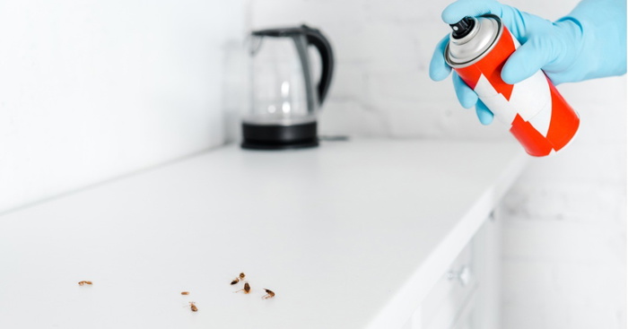 Insecticide Poisoning - How to prevent accidental insecticide poisoning