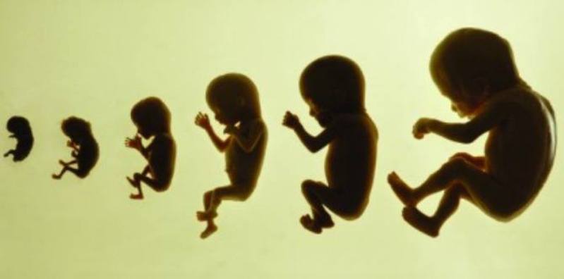 Facts About Babies In The Womb: Baby Development In Womb