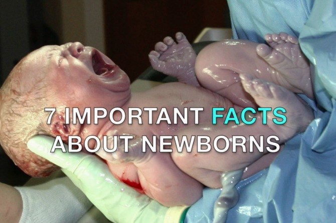 Facts about newborns: 7 Important Facts About Newborns
