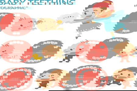 Order Of Baby Teeth Appearance, All That You Need To Know