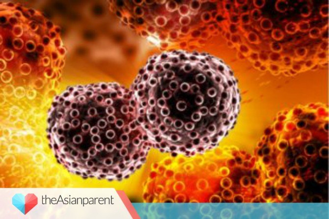 Newly Discovered Organ In The Human Body: What We Know Now