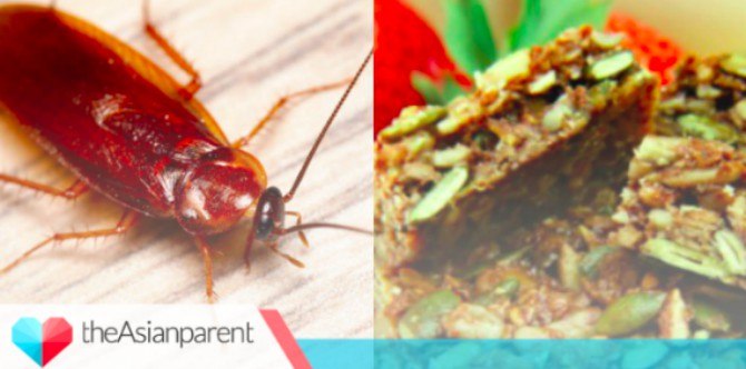 Baby Food Contamination: Parents Find Cockroach In Children's Snack