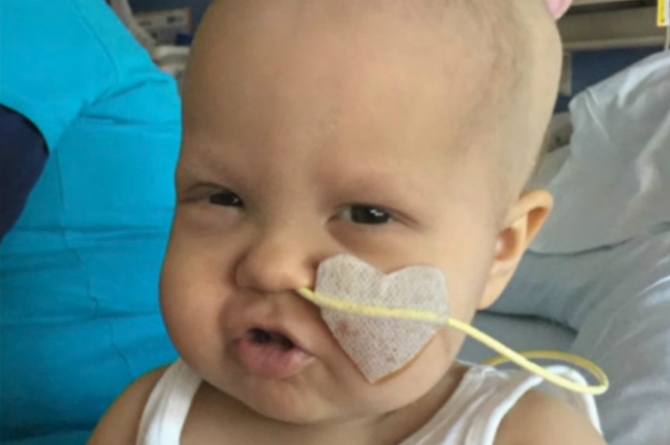 3 Year Old Cancer Survivor Walks Down The Aisle As Flower Girl At Donor ...