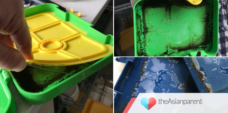 How To Get Mould Out Of Plastic Container, Especially Kids' Lunchboxes