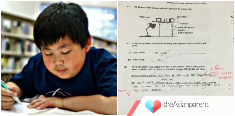 PSLE Science Answering Technique: A Guide To Straight As & A*s