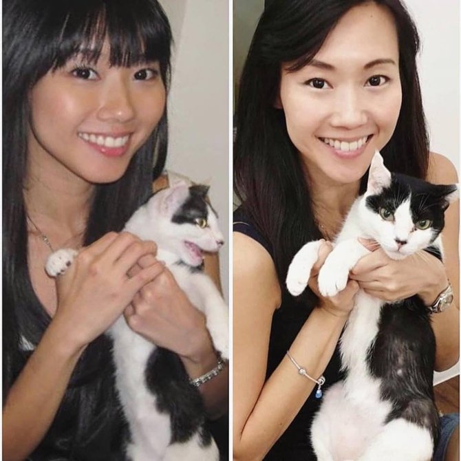 Singapore Celebrities Then And Now: Who Has Aged The Best?