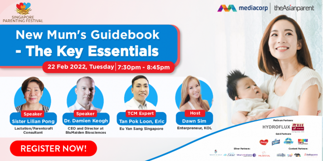 New Mum's Guidebook - The Key Essentials