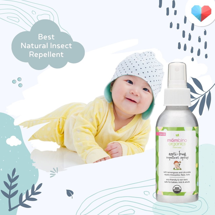 Best Mosquito Repellent in Singapore That Are Safe for Babies And Kids