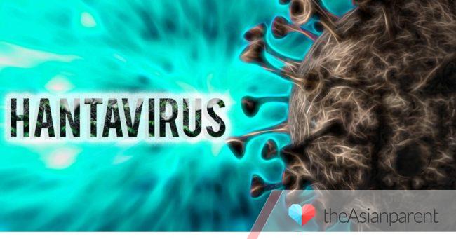 What Is Hantavirus - Causes, Symptoms And Precautions