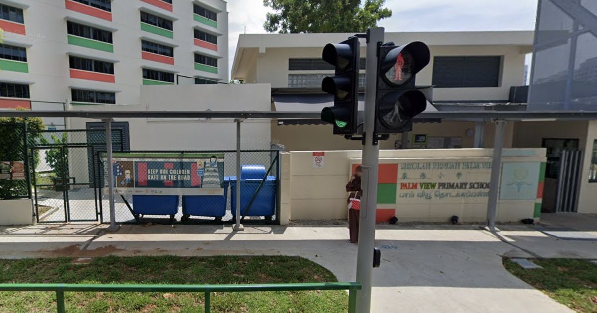 Palm View Primary School Student Tests Positive For COVID-19