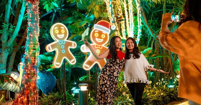Best Places To See Christmas Lights In Singapore 2020